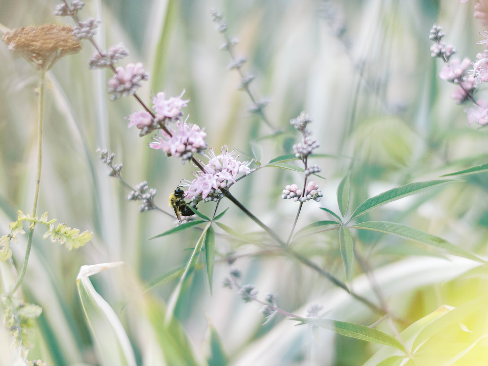 Denver Botanic Gardens Wedding with Brindle + Oak | Autumn Cutaia ...